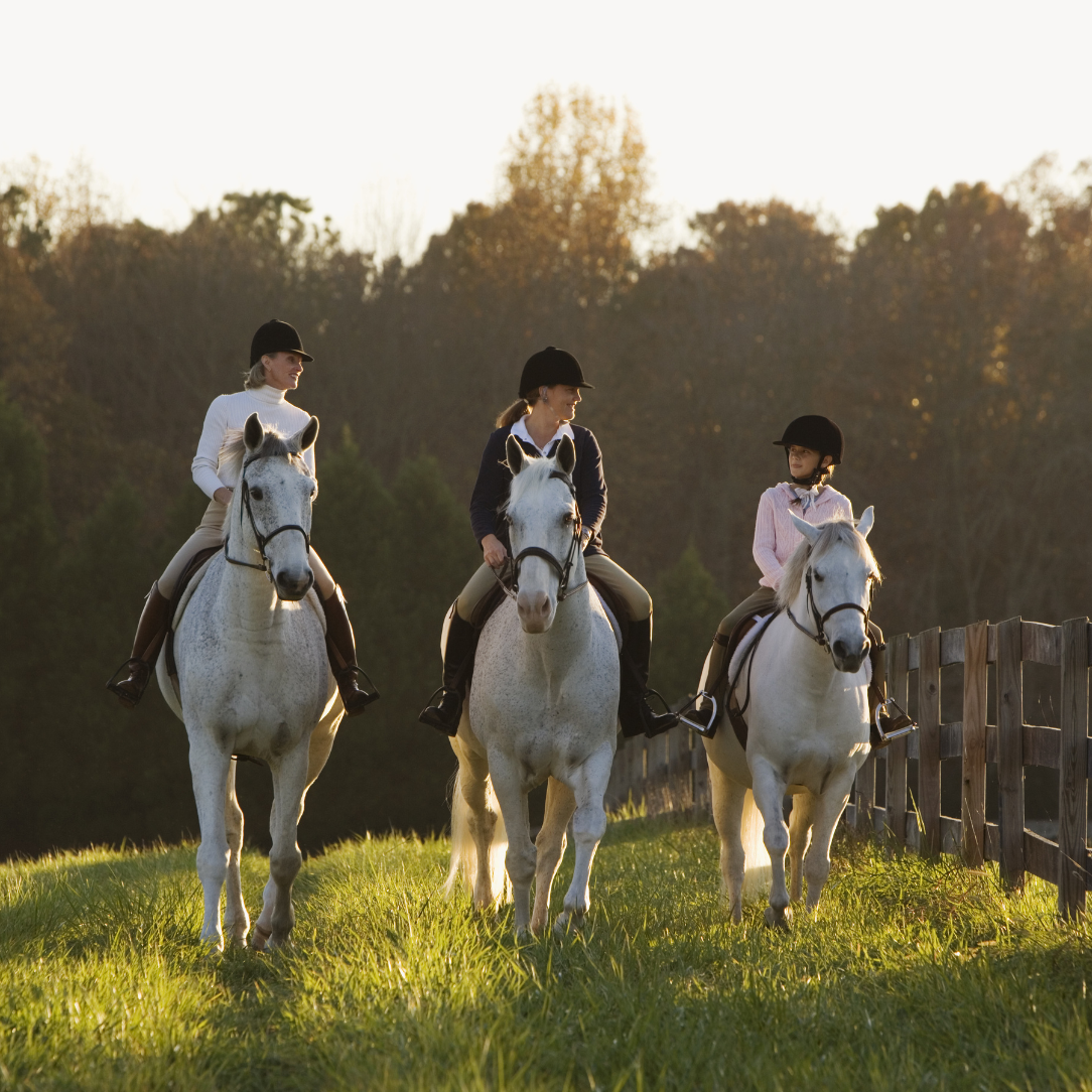 Inheritance and Succession Planning - Fairtrade IFA